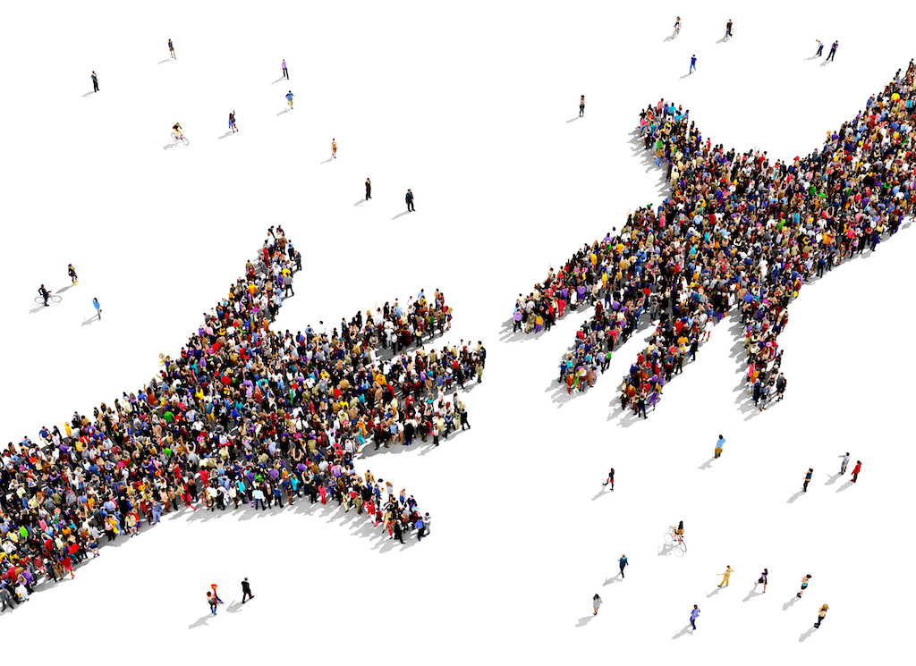 Mensen en belangen verbinden - Leiderschap van de programmamanager